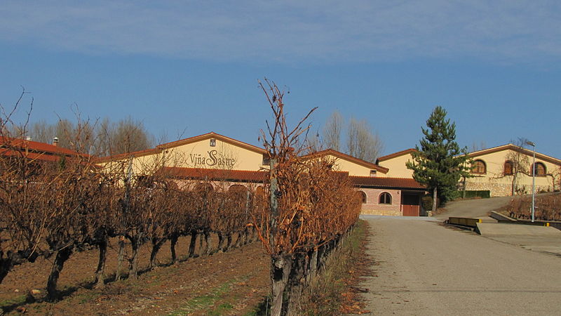 La Horra: la villa del buen vino - Viajar de espacio